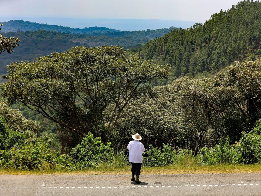 Exploring Maramagambo A Glimpse of Eastern Africa's Natural Beauty ...